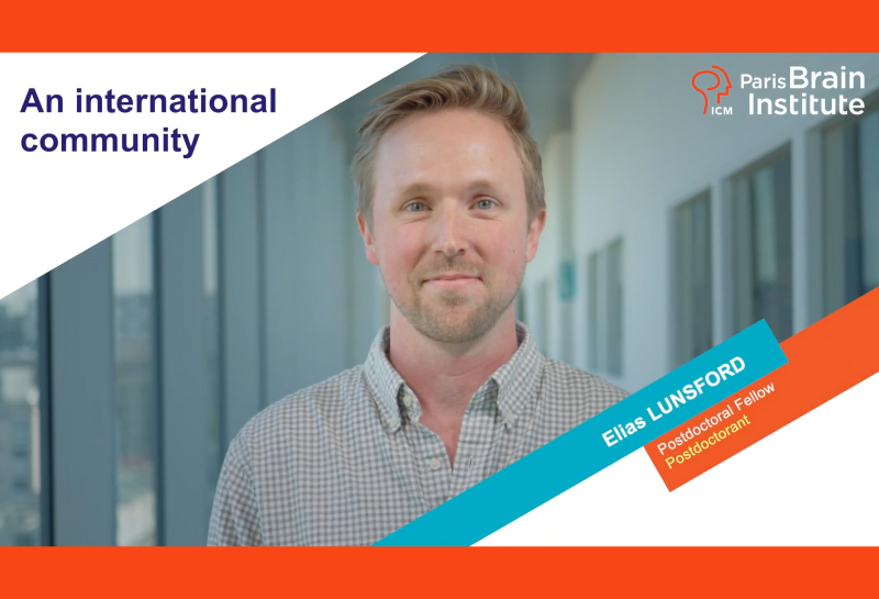 Paris Brain Institute: An International Community | Paris Brain Institute