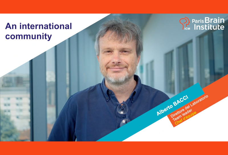 Paris Brain Institute: An International Community | Paris Brain Institute