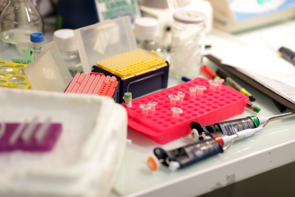 What is basic research? | Paris Brain Institute