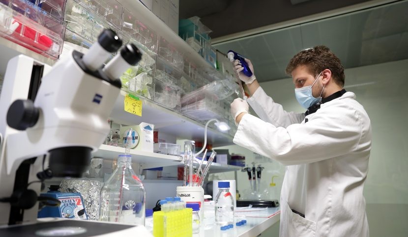 What is basic research? | Paris Brain Institute