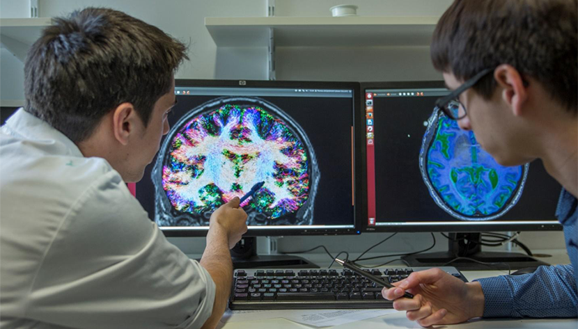 Understanding the Brain | Paris Brain Institute