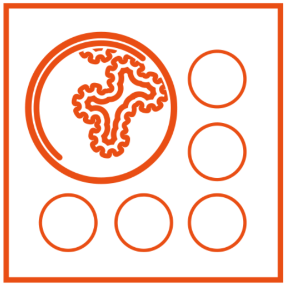 Presentation of Technology Platforms | Paris Brain Institute