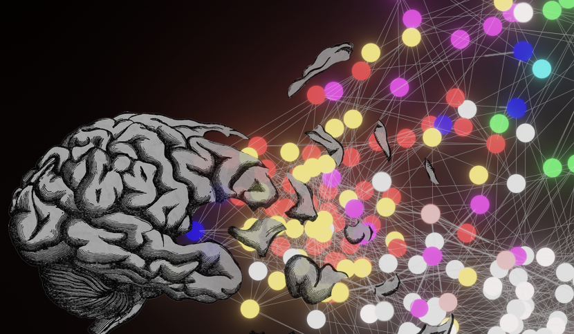 ARAMIS: Machine learning and data science for brain disorders | Paris ...