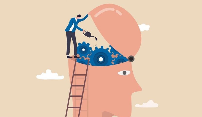 Frontlab: the prefrontal cortex as a critical hub for higher cognitive ...