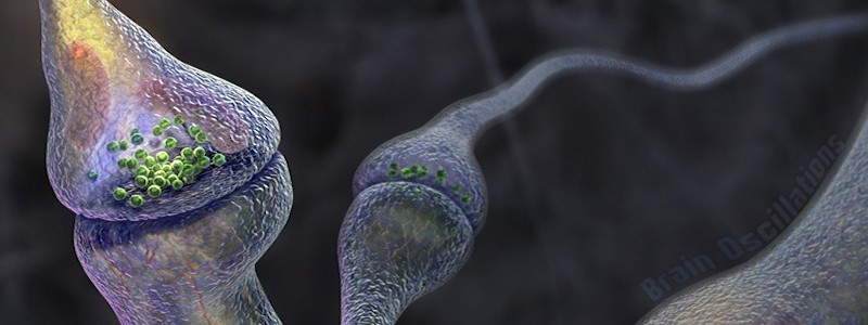 What are the biological mechanisms of Tourette’s syndrome? | Paris ...