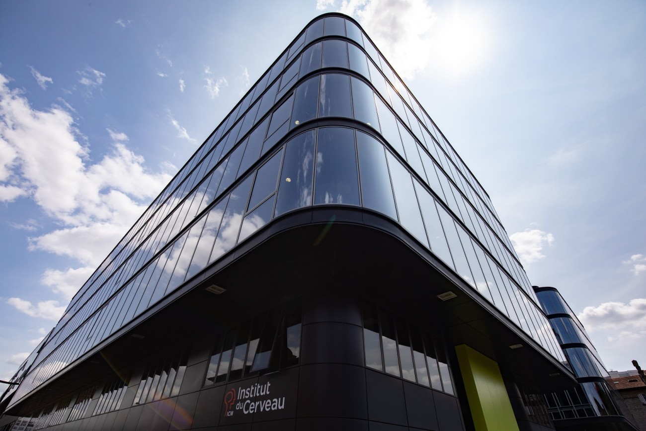 Neuroscience Olympics: opening of the 2026 edition! | Paris Brain Institute