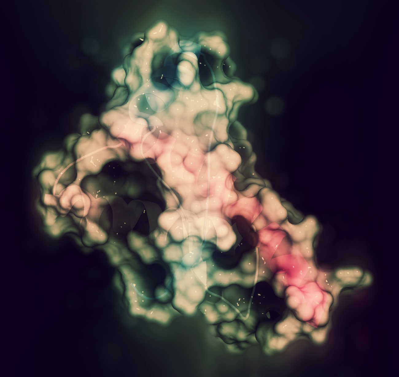 Prion diseases | Paris Brain Institute