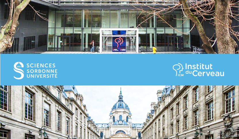 iMIND international Master In Neurodegenerative Diseases | Paris Brain ...