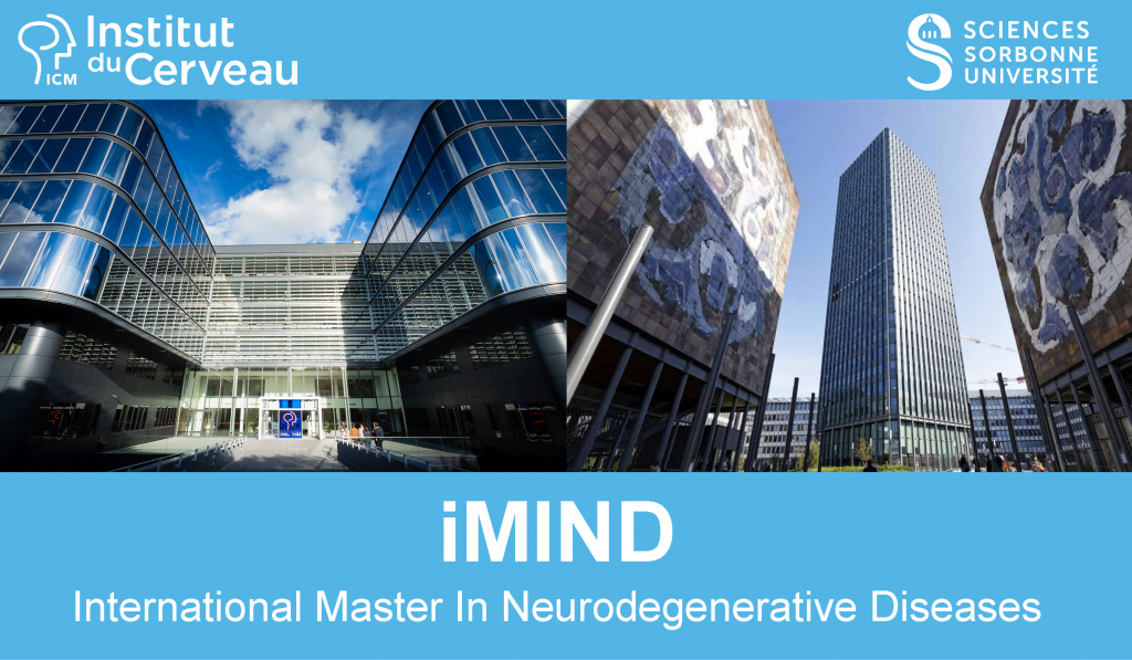 Paris Brain Institute Initial Training | Paris Brain Institute