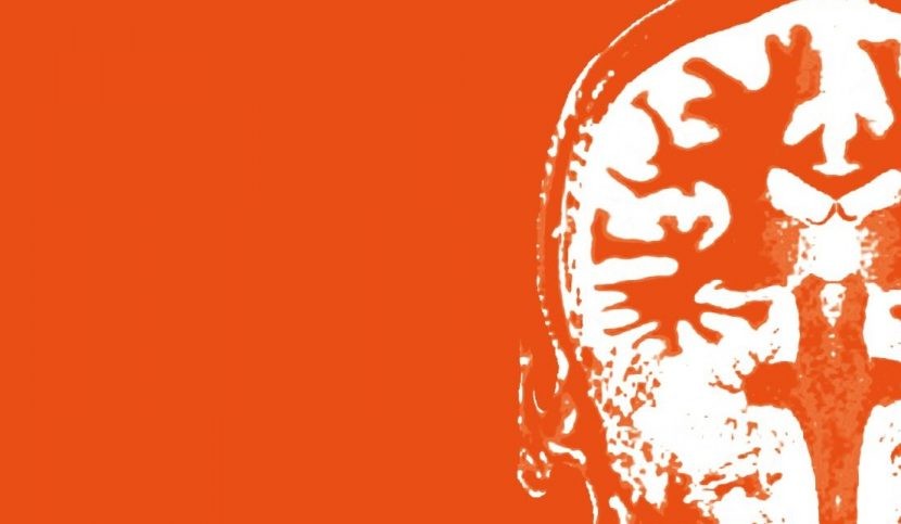 The 2021 Annual Report of the Paris Brain Institute is available ...