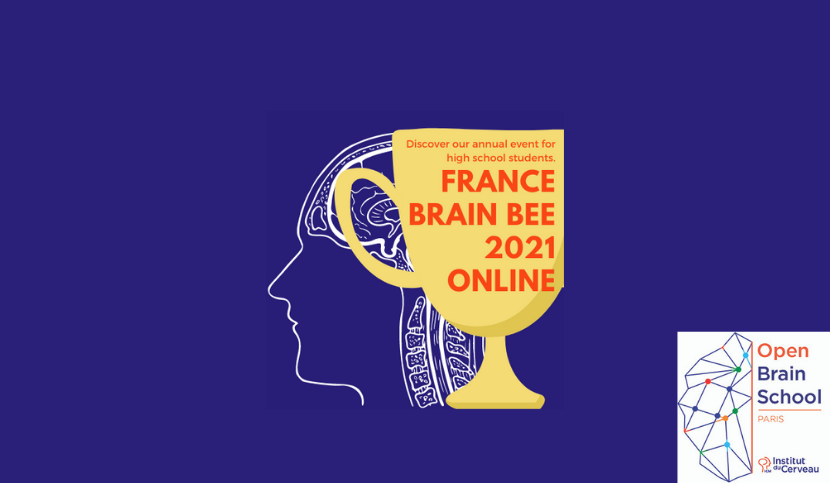 Teaching & training | Paris Brain Institute