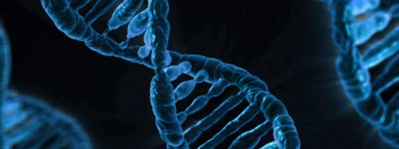 What are the Symptoms of Spastic Paraplegia? | Paris Brain Institute