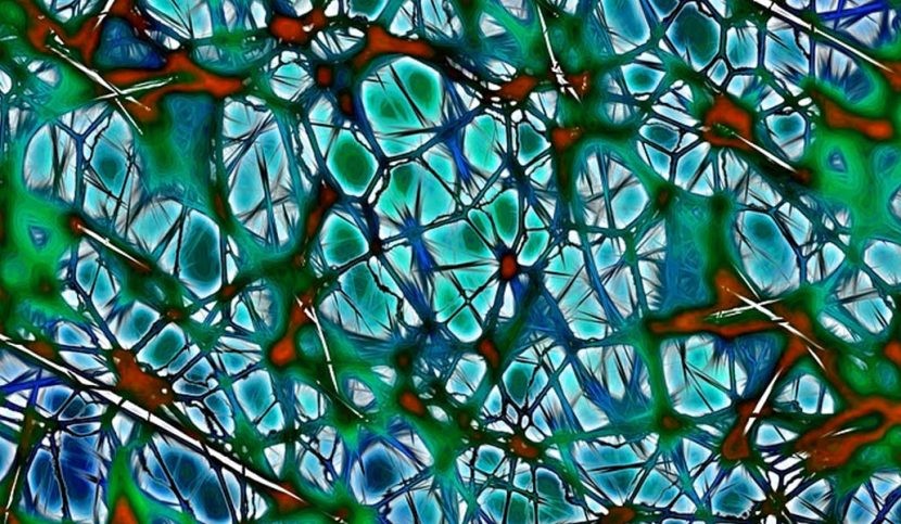 Tourette's syndrome (TS) | Paris Brain Institute