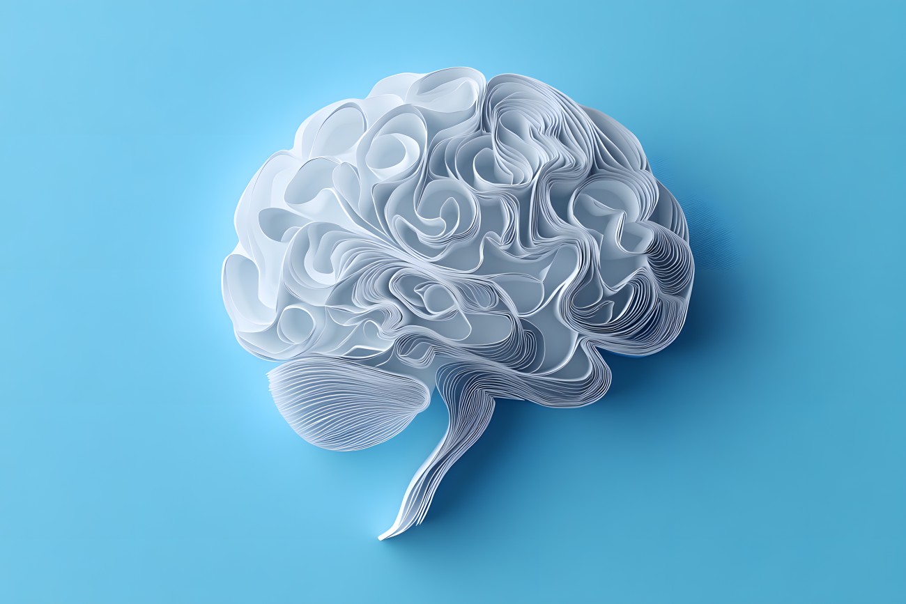 Understanding the Brain | Paris Brain Institute