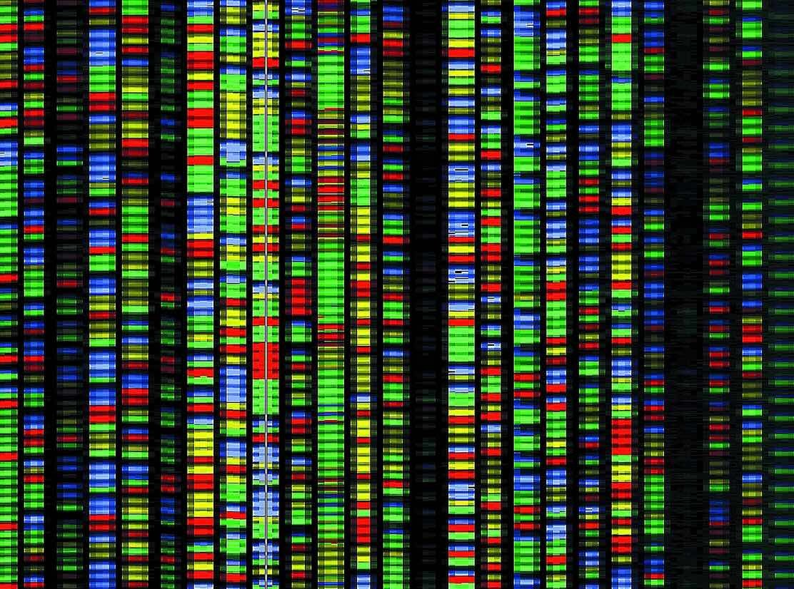 Computational modeling in neuroscience | Paris Brain Institute