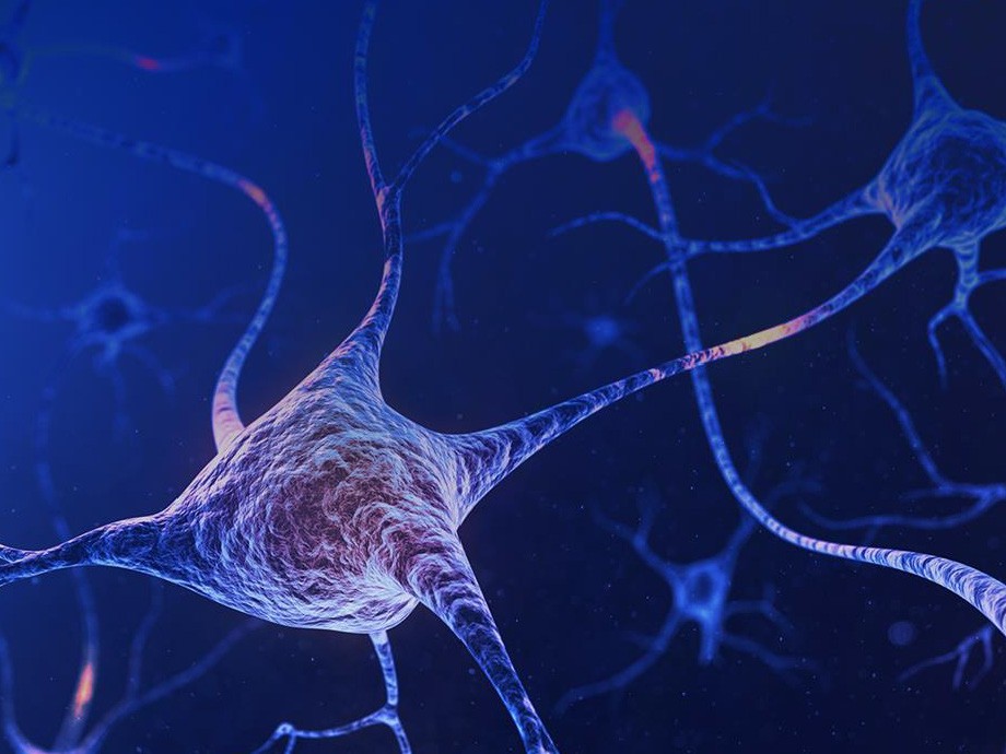 Spatial Transcriptomics Platforms to Better Understand Neurobiology and ...