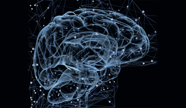 What are the Causes of OCD? | Paris Brain Institute