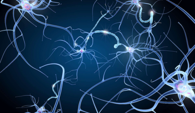 What are the biological mechanisms of multiple sclerosis (MS)? | Paris ...